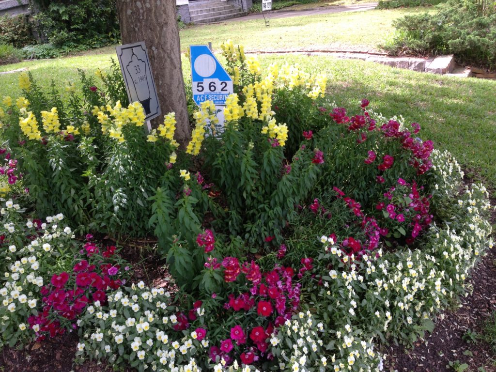 Seasonal Flowers - Sweetbriar Landscape & Design